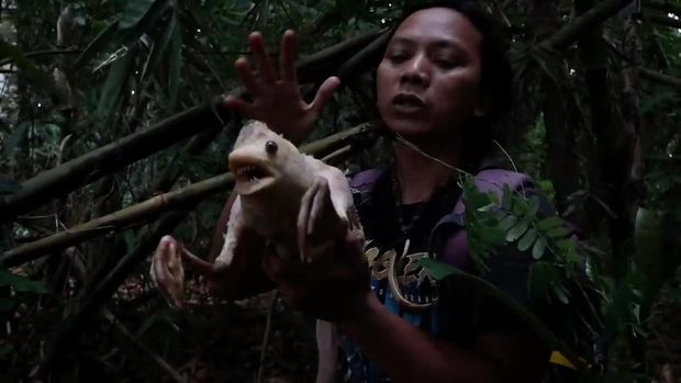 4 Konten Horor Dede Inoen: Makan 'Raja Jin' hingga Goreng 'Kuyang' 4 Konten Horor Dede Inoen: Makan 'Raja Jin' hingga Goreng 'Kuyang'