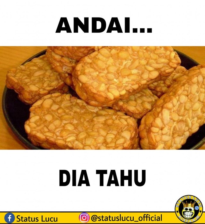 10 Meme Tentang Tahu Ini Bikin Bingung sekaligus Ngakak