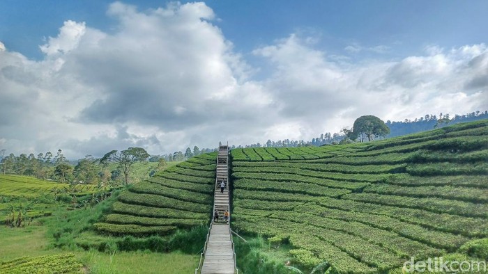 Sempat Jadi Primadona, Wisata Riung Gunung Pangalengan Kini Sepi