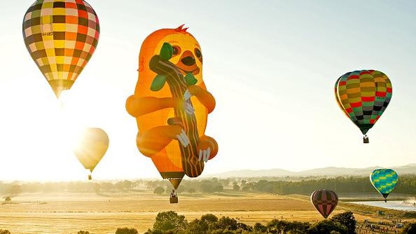 'Kungkang' Raksasa Meriahkan Festival Balon Udara di Australia