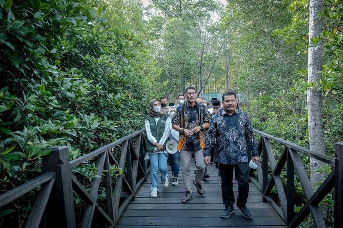 Mantul Nih, Pemandangan Tower Mangrove Forest Park Langsa