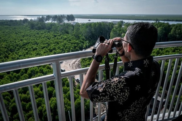 Mantul Nih, Pemandangan Tower Mangrove Forest Park Langsa
