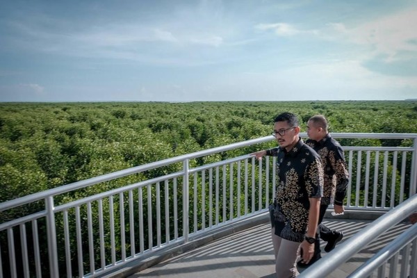 Mantul Nih, Pemandangan Tower Mangrove Forest Park Langsa