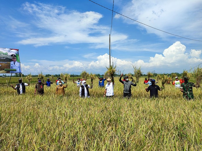 Unpad Punya IPAT BO, Teknologi Pertanian yang Bisa Buat Padi 'Bahagia' Unpad Punya IPAT BO, Teknologi Pertanian yang Bisa Buat Padi 'Bahagia'