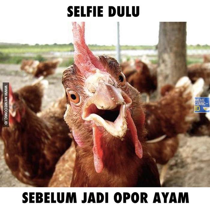10 Meme Ketupat dan Opor Ayam yang Kocak Ini Bikin Ngakak