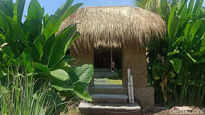 Wow! Kulit Babi Guling Ini Dilapisi Lembaran Emas