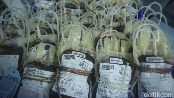 Intip Sibuknya Lab Darah di PMI DKI Jakarta