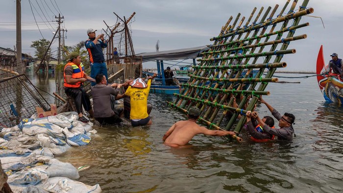 Ribuan Karung Pasir Tambal Tanggul Jebol di Tanjung Emas, Ini Fotonya