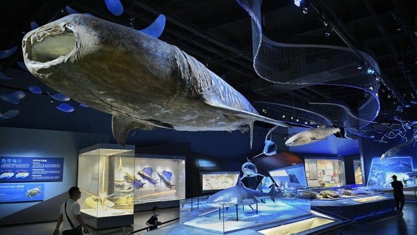 Serunya Bertualang Dunia Bawah Laut di Museum Maritim China