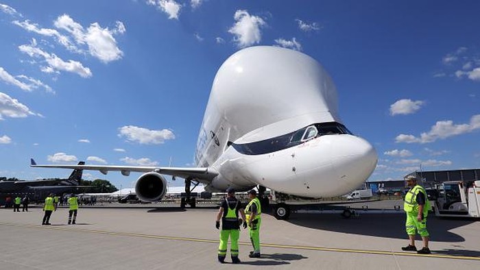 Penampakan Airbus Beluga XL, Pesawat Super Jumbo Saingan Antonov