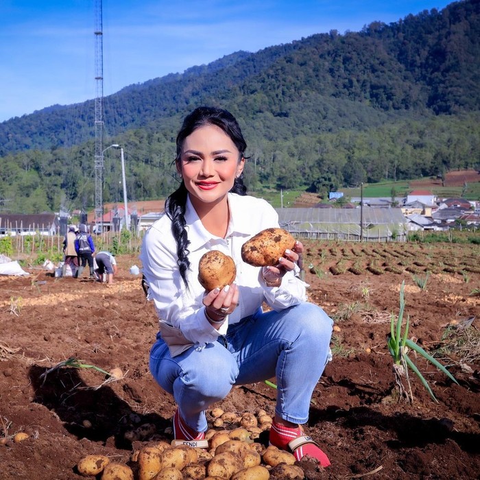 10 Potret Keseruan Krisdayanti Panen Kentang di Kebun