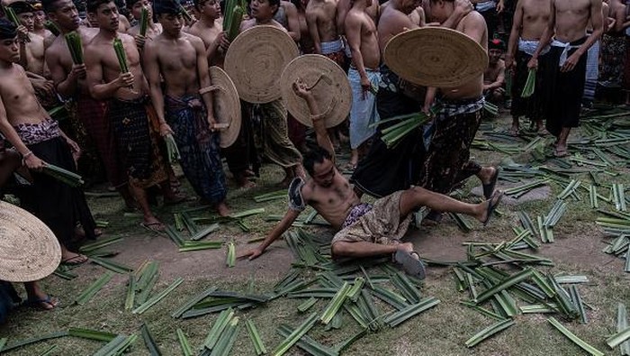 Kuat dan Berani, Begini Aksi Pria di Bali dalam Perang Pandan Berduri