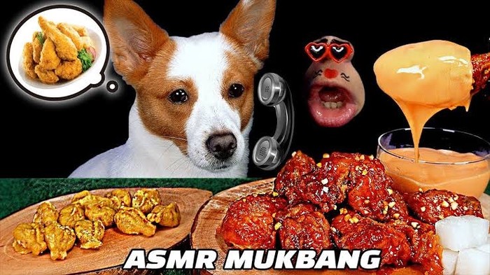 Bukan Manusia 10 Binatang Ini Sukses Jadi Bintang Mukbang Dan Asmr