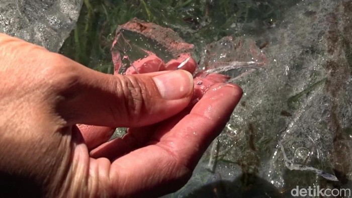 Beku! Begini Penampakan Embun Es di Dieng Pagi Ini