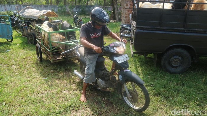 Ada Layanan Ojek Khusus Kambing di Kudus, Panen Order Jelang Idul Adha Ada Layanan Ojek Khusus Kambing di Kudus, Panen Order Jelang Idul Adha
