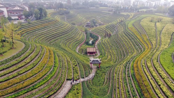 Deretan Lansekap Terasering yang Bikin Susah Move On