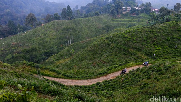 Surga Wisata Tersembunyi di Malasari, Ubud-nya Bogor