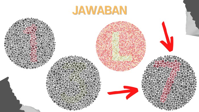 Tes Buta Warna Pakai Soal Super Gampang, Tak Butuh 5 Menit untuk Jawab ...