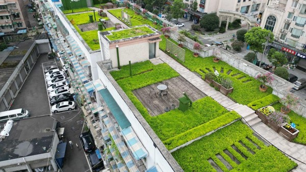 Keren Banget, Atap Gedung Ini Disulap jadi Taman