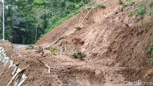 tanah vulkanik cocok untuk tanaman