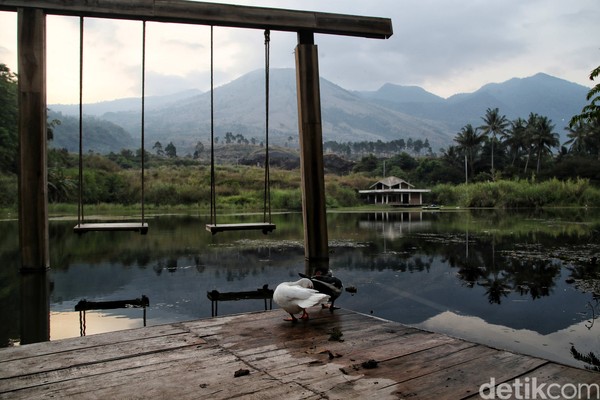 Jarang-jarang, Kafe Punya Telaga Mini Sendiri