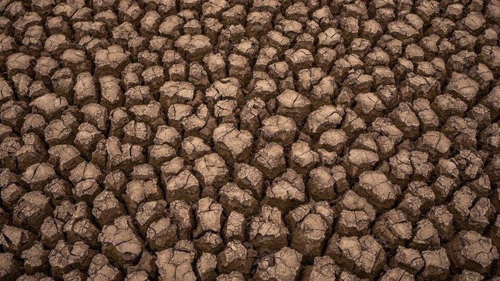 Deretan Tanah Retak di Berbagai Dunia Gegara Kekeringan Parah
