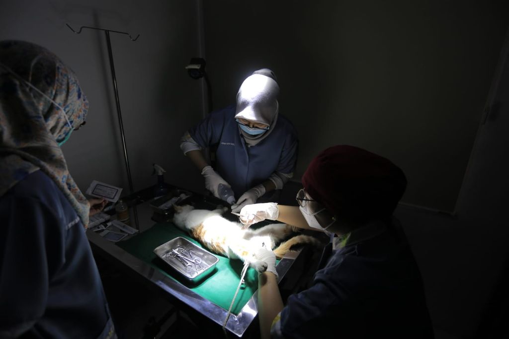 Klinik Hewan Pemkot Tangerang Buka Layanan Vaksin-Sterilisasi Anabul Klinik Hewan Pemkot Tangerang Buka Layanan Vaksin-Sterilisasi Anabul