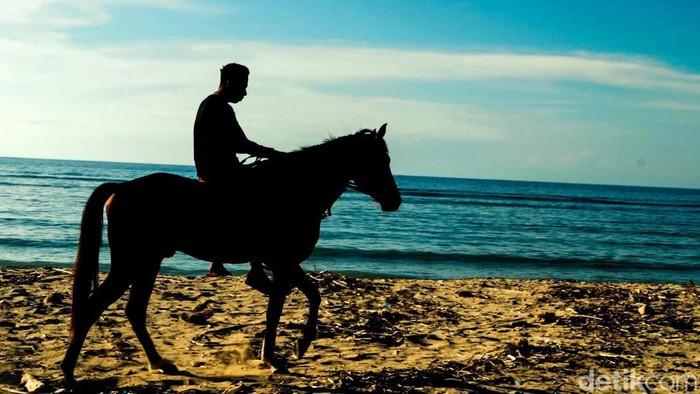 Kuda Pacu Jadi Ajang Bergengsi di Wini, Begini Cara Melatihnya