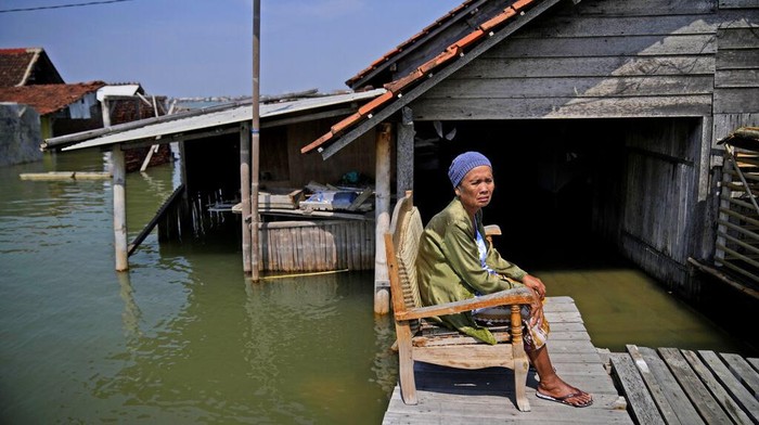 Menengok Warga Timbulsloko Jateng, Bertahan di Tengah Banjir Rob Menengok Warga Timbulsloko Jateng, Bertahan di Tengah Banjir Rob