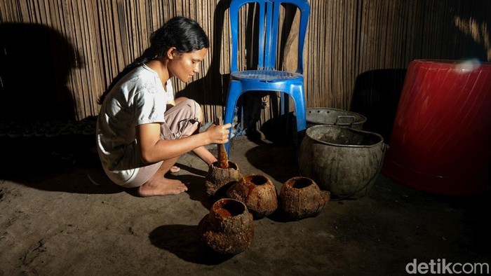 Manisnya Gula Lempeng Khas NTT di Wini, Begini Cara Buatnya