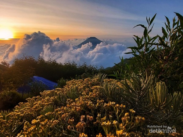 Potret Sunset Cantik Gunung Sumbing via Garung