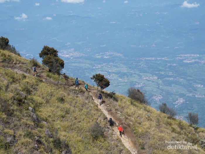 Cobain Deh Pendakian Gunung Sumbing via Garung, Sungguh Menantang!