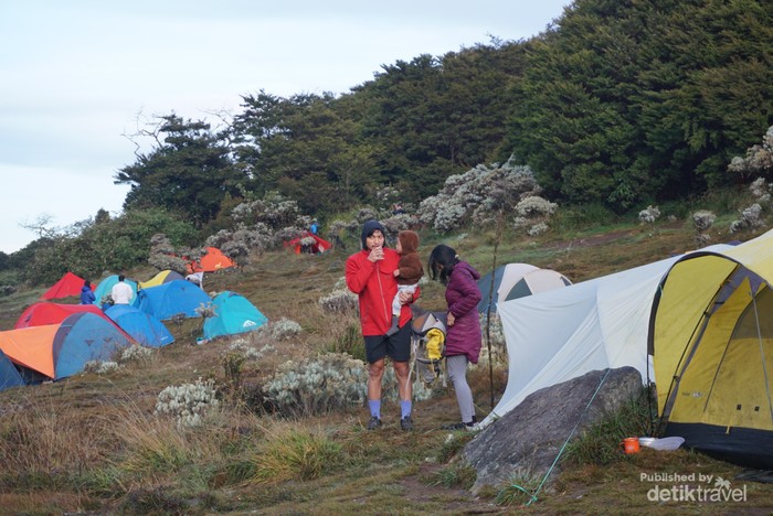 Indahnya Pagi di Alun-alun Surya Kencana Gunung Gede