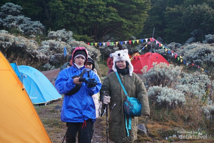 Indahnya Pagi di Alun-alun Surya Kencana Gunung Gede