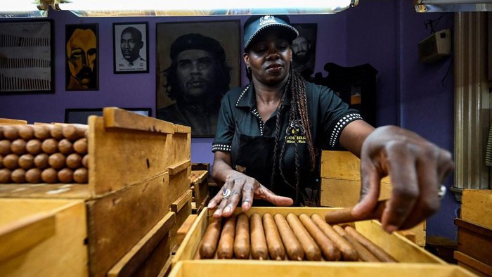 Mengintip Pembuatan Cerutu Paling Terkenal di Kuba