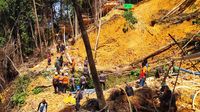 Lokasi Tambang Emas di Bengkayang Kalbar Longsor, 5 Orang Tewas