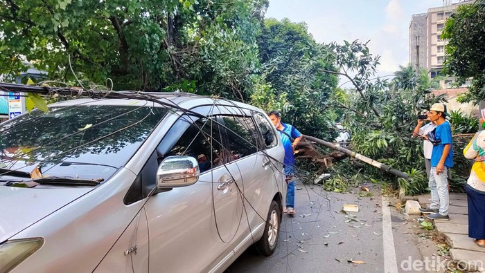 Foto-foto Pohon Tumbang Timpa Mobil di Jalan Marga Guna Jaksel