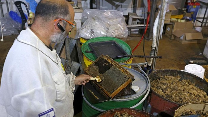 Begini Proses Memanen Madu di Peternakan Lebah Israel