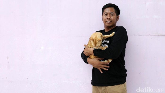 'Malaikat' Kucing-kucing Terlantar