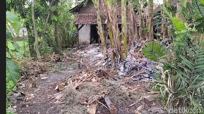 Nenek Sebatang Kara di Ponorogo yang Makin Prihatin Usai Rumahnya Terbakar Nenek Sebatang Kara di Ponorogo yang Makin Prihatin Usai Rumahnya Terbakar