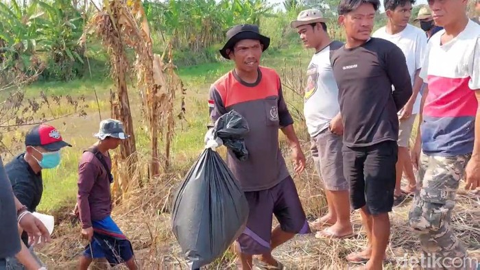 Gambar Kerangka Manusia Utuh Galeri Gambar Hd - vrogue.co Gambar Kerangka Manusia Utuh Galeri Gambar Hd - vrogue.co