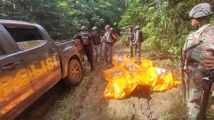 14 Korban Serangan KKB Papua Barat: Identitas dan Kondisinya 14 Korban Serangan KKB Papua Barat: Identitas dan Kondisinya