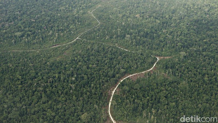 Keindahan Bumi Tanimbar dari Udara