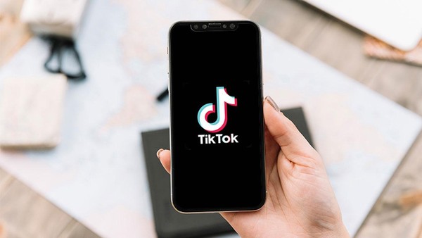 Ultimate Snaptik Tiktok Video Downloader Guide