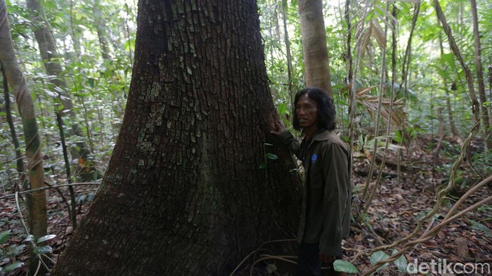 Menjelajah Hutan Tanimbar, Melihat Burung Endemik Kakatua Goffin