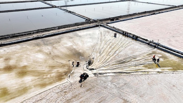 Mengintip Panen Garam di China, Sama Nggak Kayak di RI?