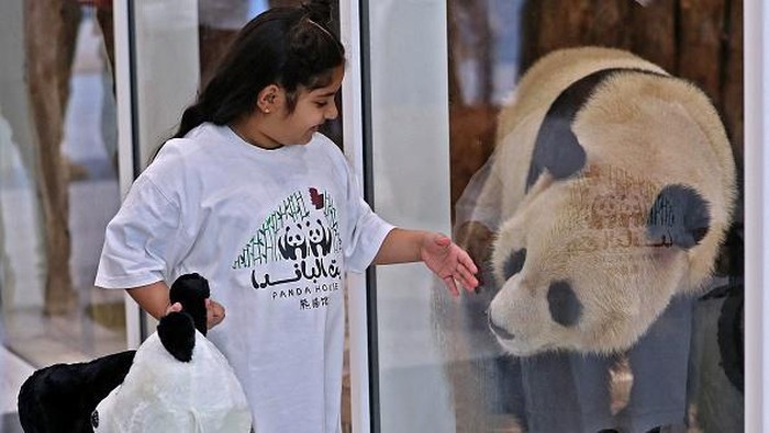 Sambut Piala Dunia 2022, China Hadiahkan Dua Panda ke Qatar