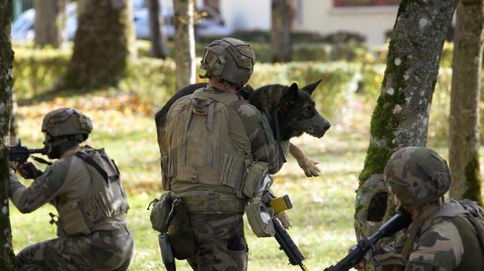 Prancis Bikin Monumen untuk Hormati Anjing Pahlawan, Begini Penampakannya