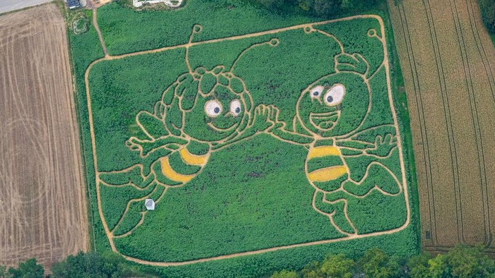 Deretan Lanskap Labirin yang Keren Banget