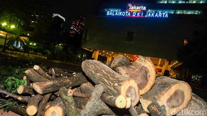 Pohon Tumbang di Balai Kota DKI Dievakuasi, Ini Penampakannya Pohon Tumbang di Balai Kota DKI Dievakuasi, Ini Penampakannya